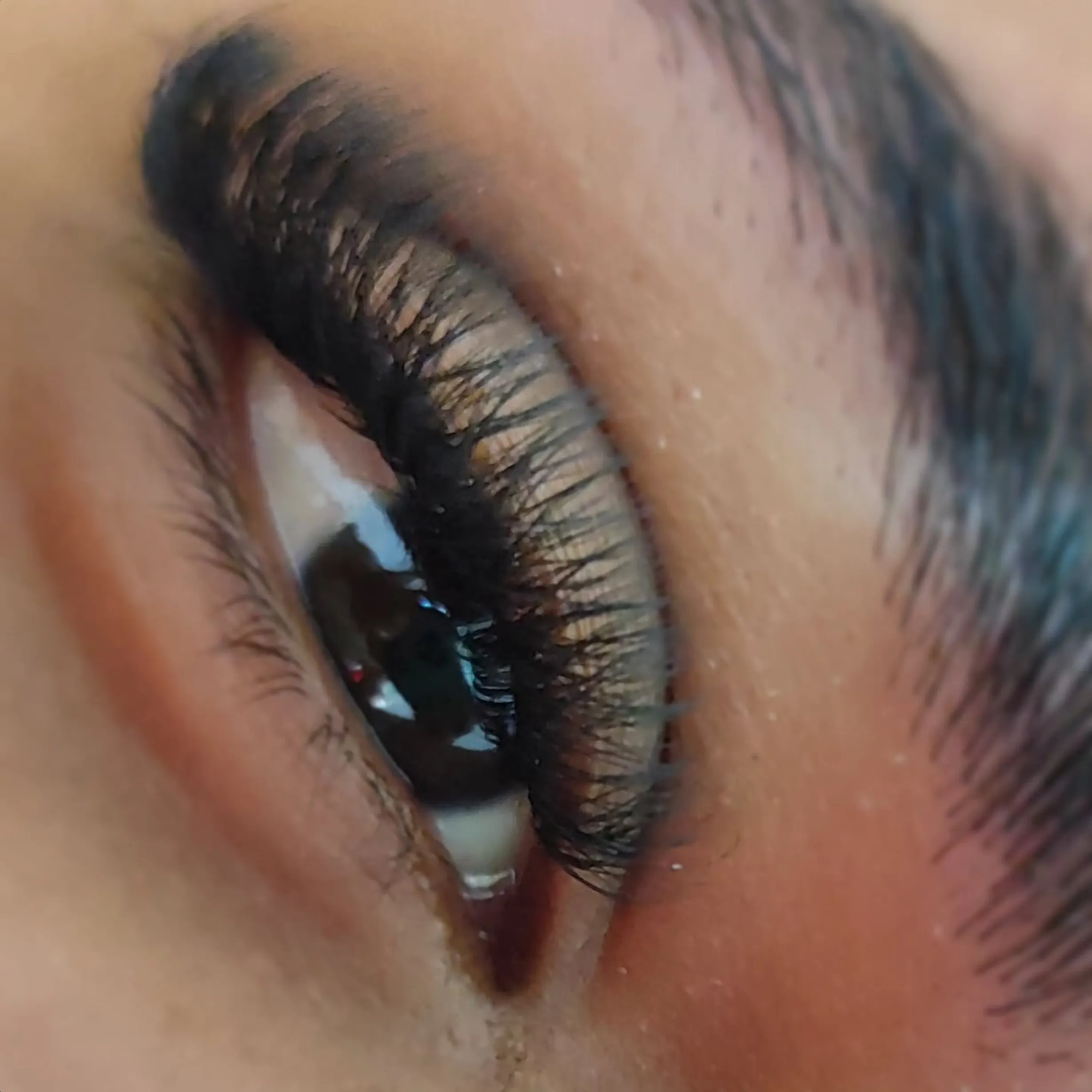 What Are C-Curl Eyelashes?